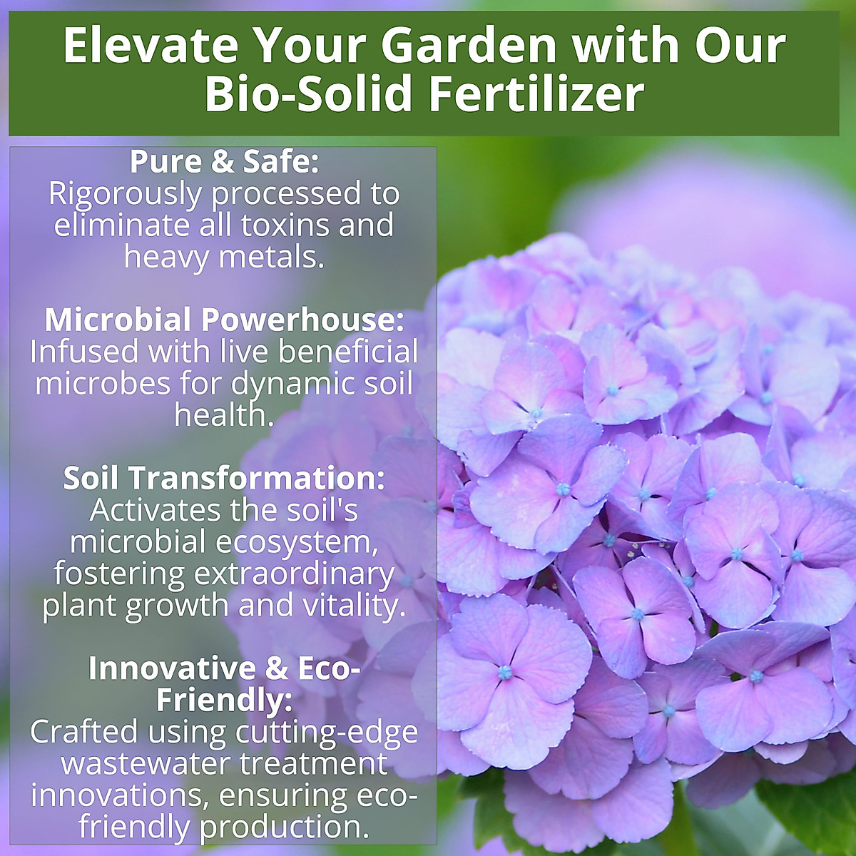 GARDENWISE 8-4-8 Acidic Fertilizer for Azaleas, Camellias (Camelia), Hydrangeas, Blueberries, Gardenias, Magnolia Trees, Evergreens, and Rhododendrons - Ideal Iron-Rich Plant Food (12 OZ)