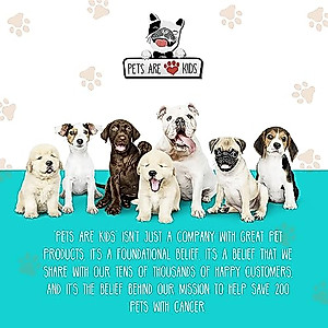 Premium Pet Dental Spray (Large - 8oz): Eliminate Bad Dog Breath & Bad Cat Breath! Fights Plaque, Tartar & Gum Disease Without Brushing! Add to Water! Digestive Aid!