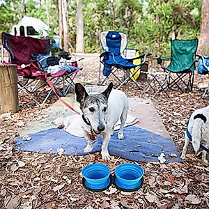 Collapsible Travel Dog Bowl or Cat Travel Bowls, Two Adjustable, Expandable Silicone Dog Bowl with Convenient Carry Case for Food and Water Pet Bowls for Travel or Park