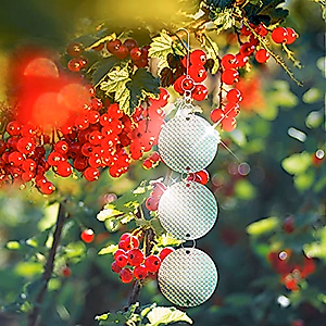 Bird Scare Devices,Woodpecker Outdoor Reflective Discs-Reflector Products Keep Birds Away from Flying into Windows