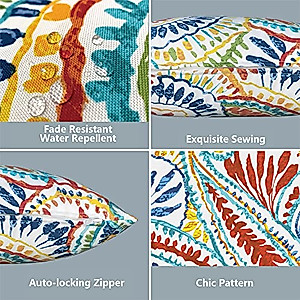 LVTXIII Outdoor Lumbar Pillow Covers, Patio Decorative Lumbar Pillow Cases ONLY, Fluffy Fade-Resistant Lumbar Cushion Cases for Home Balcony and Garden, 12x20 Inch, Pack of 2, Paisley Multi