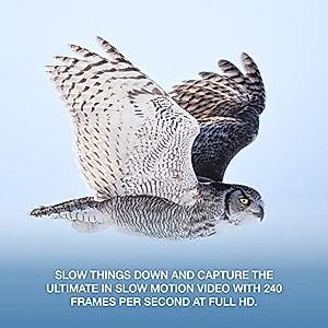 OM System OM-1 Micro Four Thirds System Camera 20MP BSI Stacked Sensor Weather Sealed Design 5-Axis Image Stabilization 120fps sequential Shooting