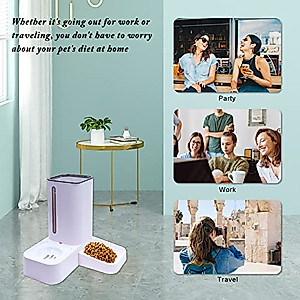 2 in 1 Gravity Cat Food and Water Bowl Set,Automatic Cat Feeder Water Dispenser for Dogs -All-in-One Pet Feeder for Small to Medium Dogs and Cats,Pets