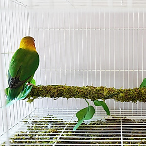 Begeterday 25 Inch Bendable Bird Perches, Bird Toys, Ideal Bird Cage Accessories