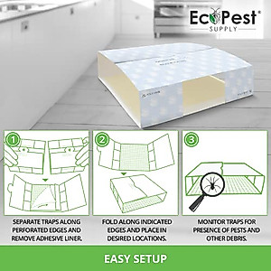 Spider Trap – 12 Pack | Sticky Indoor Glue Traps for Spiders and Other Bugs and Crawling Insects | Adhesive Spider Bait Trap, Monitor, Killer and Detector for Pest Control
