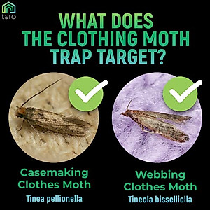 Clothes Moth Traps with Pheromones and Free Cedar Blocks Moth Repellent - Moth Traps for Clothes - Clothing Moth Traps with Pheromones - Closet Moth Traps for House - How to Get Rid of Moths in House