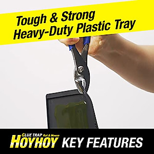 HOY HOY Regular Size Rat & Mouse Indoor/Outdoor Glue Trap 2 Traps [1 Pack] - Heavy-Duty Professional Strength Ready-to-Use Pest Control, Kids & Pets Friendly Household Pests & Insects
