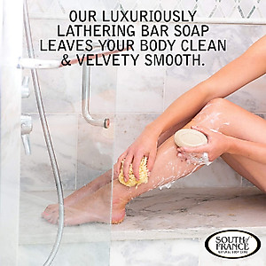 South of France Shea Butter Bar Soap 6 Ounce (Pack of 8 bars)