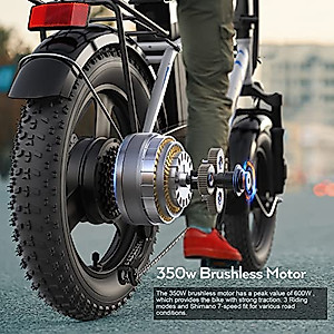 Vivi Gopina Electric Bike, 16" x 3.0 Fat Tire Electric Bike, Peak 500W Step Thru Electric Bicycle, 48V Removable Battery, Up to 40 Miles, LCD Display, 20mph, 7 Speed, UL 2849 Certified