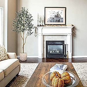 Phimos Artificial Olive Tree Tall Fake Potted Olive Silk Tree with Planter Large Faux Olive Branches and Fruits Artificial Tree for Modern Home Office Living Room Floor Decor Indoor (5.24FT)