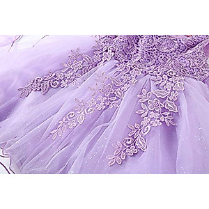 LZH Baby Girls Birthday Dress Wedding Party Flower Dress (5801-Purple,12M)
