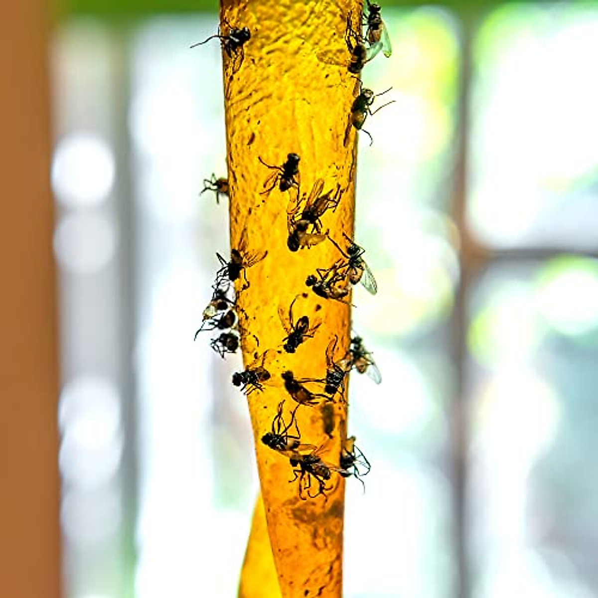 Raid Fly Ribbon Bug & Insect Catcher (4 Pack)