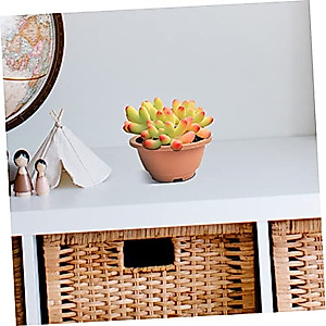 Asakkura 24 pcs Container Home Flower Training Planters Succulent Growing Gardening Bonsai Plants Garden for Nursery Round Planting Drainage Office Hole Cm Pot Cactus Plant Deep Plastic