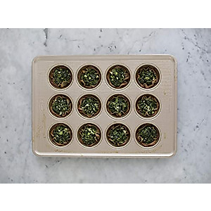 OXO Good Grips Non-Stick Pro 12 Cup Muffin Pan