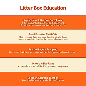 Amazon Basics Nonstick Top-Entry Cat Litter Box with Filter Lid, Large, Gray