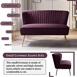 TINA'S HOME Contemporary Velvet Loveseat Sofa, Upholstered Loveseat Couch with Golden Metal Legs, Small Tufted 2-Seat Sofa Armless Love Seat for Living Room, Bedroom, Apartment Small Spaces, PURPLE