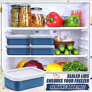 Nuogo 8 Pcs 1 Cup Silicone Freezer Trays with Lid Silicone Soup Molds Rectangle Soup Freezer Containers Reusable Food Preserving Tray Ice Trays for Soups Sauces Stews(Dark Blue)