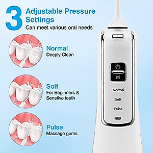 Water Flosser Cordless Teeth Cleaner - Pritech Professional Oral Irrigator Dental Calculus Remover for Travel & Home, Braces & Bridges Care, Tartar Scraper Plaque Remover for Teeth…