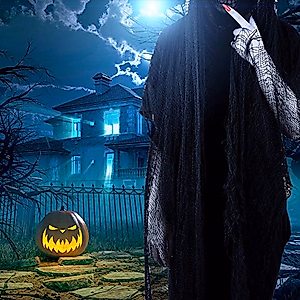 Zealor Halloween Creepy Cloth Party Decor Drape Doorways Entryways Windows Cover Gauze Creepy Spooky Halloween Decorations(8.7 Yards x 30 Inches, Black)