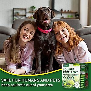 Carmelie Squirrel Repellent, Squirrel Repellent Outdoor, Chipmunk Repellent for Attic with Peppermint Oil to Repel Squirrel, Rodent, Mouse, All Natural Repellent Pouches for Indoor Outdoor, 10 Pouches