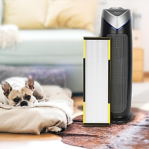 2 Pack FLT4825 True HEPA Filter B Replacement with 6 Activated Carbon Pre-Filters Compatible with Guardian AC4825 AC4300 AC4800 AC4900 AC4850 Air Purifier