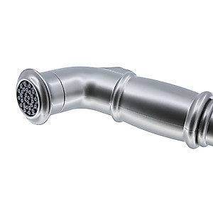 Danco, Brushed Nickel, Universal Decorative Side Spray and Hose, 1-Pack (89216), Pack of 1