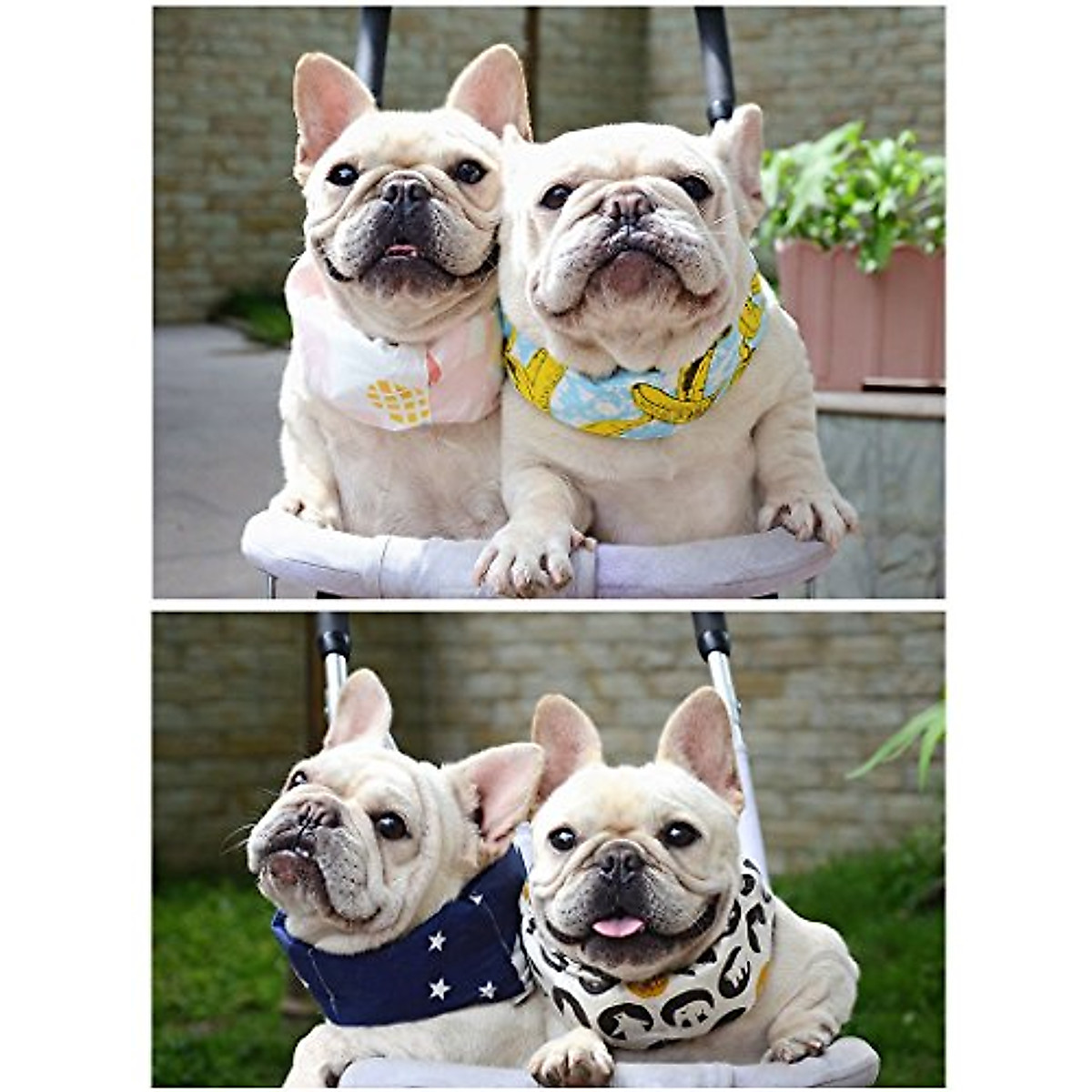 Dog Cooling Bandana, Stock Show Pet Dog Adjustable Ice Chill Out Collar Scarf with 4 Ice Packs for Summer (White Bear)