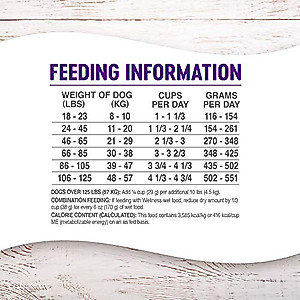 Wellness Complete Health Senior Dry Dog Food with Grains, Natural Ingredients, Made in USA with Real Meat, All Breeds (Chicken & Barley, 30-Pound Bag)