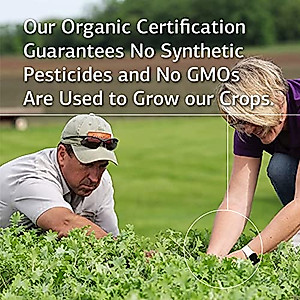 Standard Process Magnesium Lactate - Whole Food Energy, Bone, and Muscle with Magnesium Lactate - Gluten Free - 90 Capsules