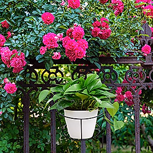 defutay Hanging Railing Planters, 4 Pack Round Flower Pot Holders,Metal Pot Plant Baskets for Balcony,Garden,Indoor & Outdoor(Black,4 PCS)