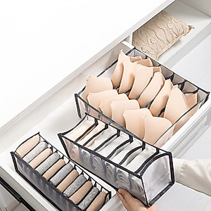 SERN Drawer Closet Foldable Underwear Organizer for Sock/Ties,Bras,Underwear Storage Box