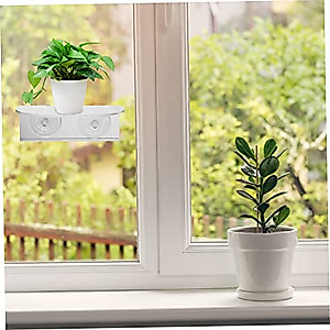 Asakkura 1pc Bottle Ledge Room Cupwall Floating Shelf with Suction Rack Bathroom Succulents Indoor Living Plants Racks for Planter Kitchen Wall Cup Mounted Acrylic Window Transparent Hold