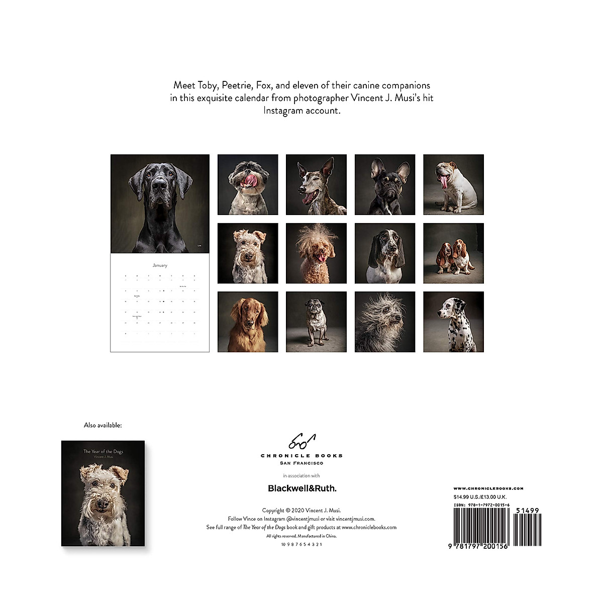 The Year of the Dogs 2021 Wall Calendar: (Dog Portrait 12-Month Calendar, Dog Lovers Photography Monthly Calendar)
