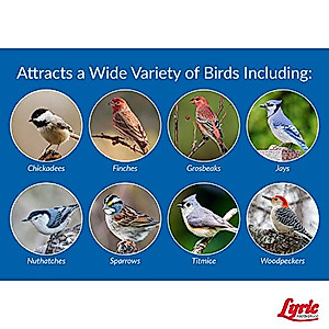 Lyric Wild Bird Mix Bird Seed, Bird Food for Outside Feeders, 40 lb. Bag