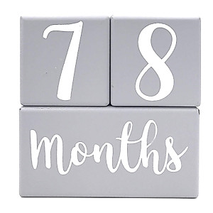Baby Monthly Blocks Age Months Wood Photo Wooden Number Month Block