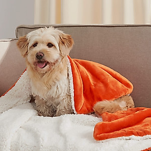 NICETOWN Fall Blanket Sherpa Fleece Throw Blanket for Couch, Winter Warm Fuzzy Soft Blankets and Throws for Sofa, Velvet Reversible Luxurious Blanket for Home/Bed/Kids,50 inches x 60 inches, Orange