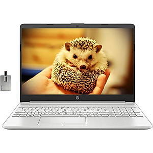 HP 2022 17.3" FHD IPS Laptop, 11th Gen Intel Core i3-1115G4(Beats i5-1035G7), 32GB RAM, 1TB PCIe SSD, Full-Size Keyboard, Intel UHD Graphics, HD Webcam, Windows 11 Pro, Silver, 32GB USB Card