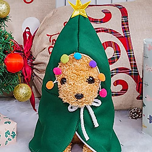 Lystaii Pet Christmas Costume Cloak Cat Santa Cape with Santa Hat Star and Pompoms Accesories Puppy Dog Xmas Party Cosplay Dress Velvet Winter Warmer for Dog Cats (Large, Green)