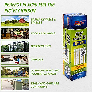 PIC Fly Ribbon XL - Large Fly Traps for Outdoors and Barns, 40FT Roll, Pack of 2