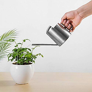 Watering Can for Indoor Plants 300ML Stainless Steel Small Watering Can with Long Spout Watering Pot for House Plant Garden Flower Bonsai Succulents