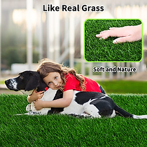 Grass Pad for Dogs 51.2 x 31.5 inches, Strong Absorbency Soft Artificial Grass for Pets Potty Training, Easy to Clean Fake Grass for Dog Indoor Outdoor Use (1 Pack)