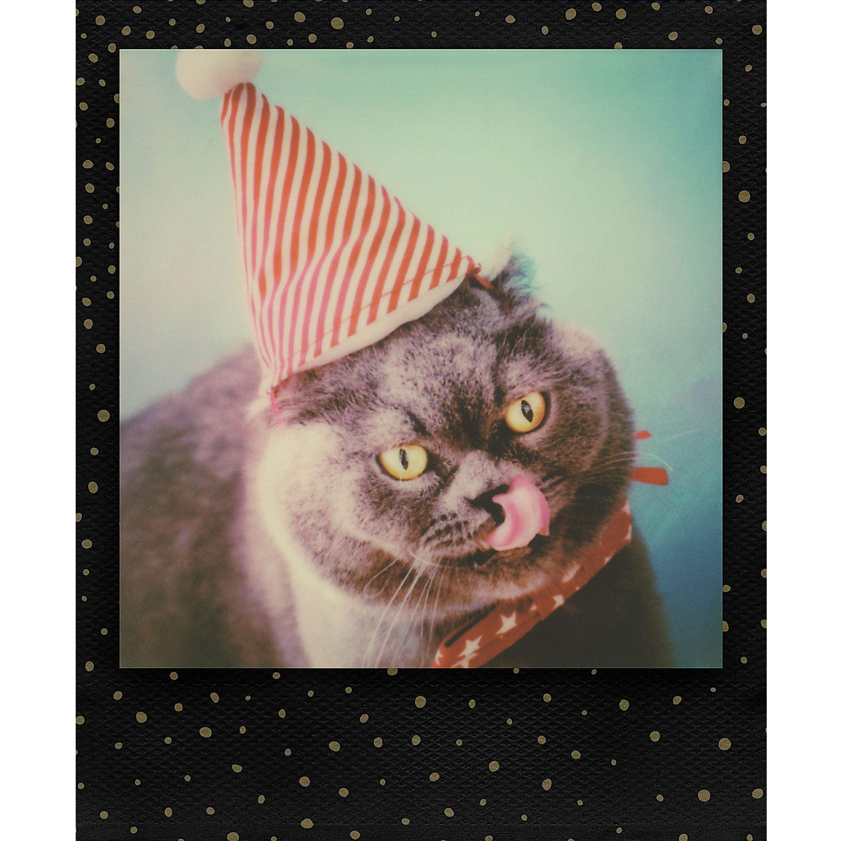 Polaroid Originals - 4932 - Color Film for 600 - Gold Dust Edition