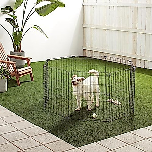 Amazon Basics Foldable Octagonal Metal Exercise Pet Play Pen for Dogs, Fence Pen, No Door, Small, 60 x 60 x 30 Inches, black