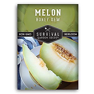 Survival Garden Seeds - Honeydew Melon Seed for Planting - Packet with Instructions to Plant and Grow Light Green Honey Dew Melons Your Home Vegetable Garden - Non-GMO Heirloom Variety