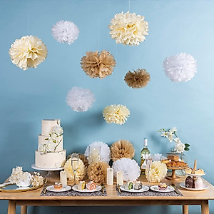 Boho Tissue Paper Pom Poms Champagne Neutral Party Decorations Creamy White Light Brown Paper Flowers for Wedding Birthday Engagement Receptions Boho Bridal Baby Showers Party Supplies -15pcs