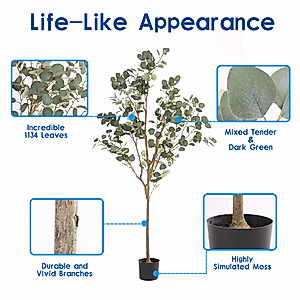 DIIGER Artificial Tree Plant Eucalyptus Tree 6FT Tall, Modern Large Fake Plant Decor in Pot for Indoor Outdoor,Home Office Perfect Housewares Gift Decoration, 71 in Eucalyptus Tree