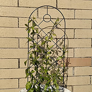 Garden Trellis for Climbing Plants Metal Vine Plant Support Trellis Climbing Rose Trellis Rustproof Plant Support for Potted Plants Flowers Vegetable