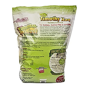 F.M. Brown's Tropical Carnival, Natural Timothy Hay for Guinea Pigs, Rabbits, and Other Small Animals, with High Fiber for Healthy Digestion, 96 oz