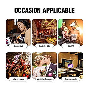 D Debra SI Series Professional Portable Recording Mixer Audio with 99 DSP Digital Effects Mic Preamps and USB for DJ Mixer Console Karaoke Home Recording Studio (SI-8UX)