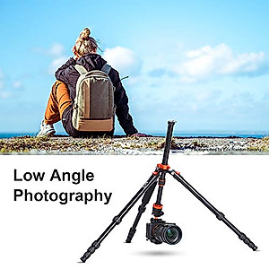 K&F Concept 68 inch /175cm Camera Tripods,Compact Travel Tripod with Monopod,10kg/22lbs Load Capacity 360° Panorama Ball Head Compatible with DSLR Cameras K255A4+BH-28L (TM2515M1)